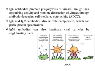 Immunity against viruses, thebasics and priciples.pptx