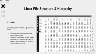 Lab 5 Linux File Structure and Hierarchy.pptx | Operating Systems | Computer Software and ...