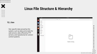 Lab 5 Linux File Structure and Hierarchy.pptx