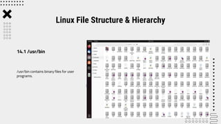 Lab 5 Linux File Structure and Hierarchy.pptx