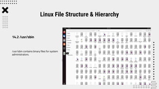 Lab 5 Linux File Structure and Hierarchy.pptx