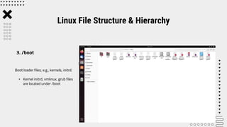 Lab 5 Linux File Structure and Hierarchy.pptx