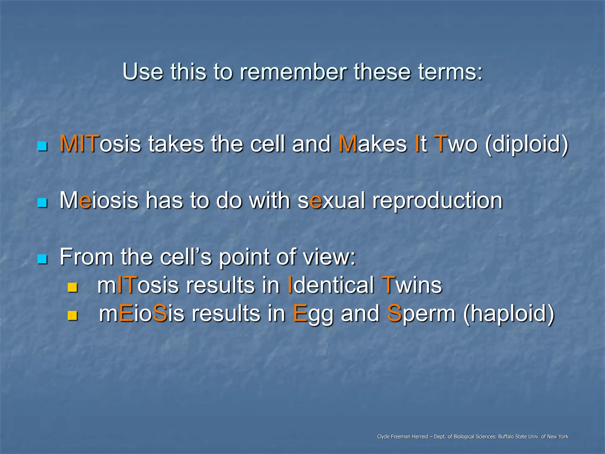 lab_5_MitosisandMeiosis_cebf6f77e6c2786b86266ffbca4d215b.pdf