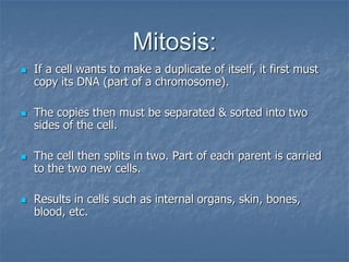 lab_5_MitosisandMeiosis_cebf6f77e6c2786b86266ffbca4d215b.pdf