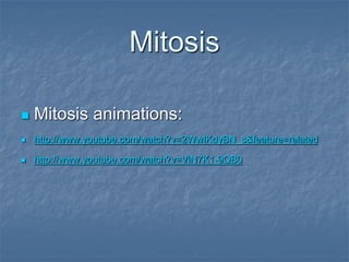 lab_5_MitosisandMeiosis_cebf6f77e6c2786b86266ffbca4d215b.pdf