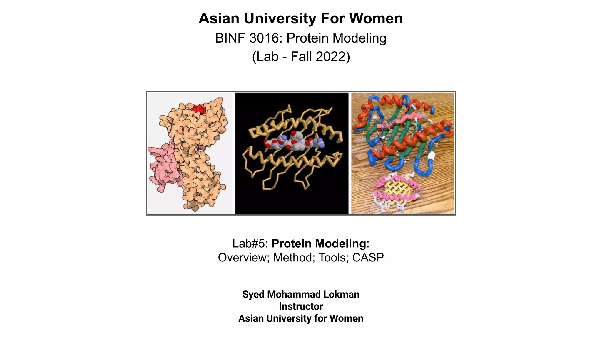 Protein Modeling Overview Pdf Chemistry Science