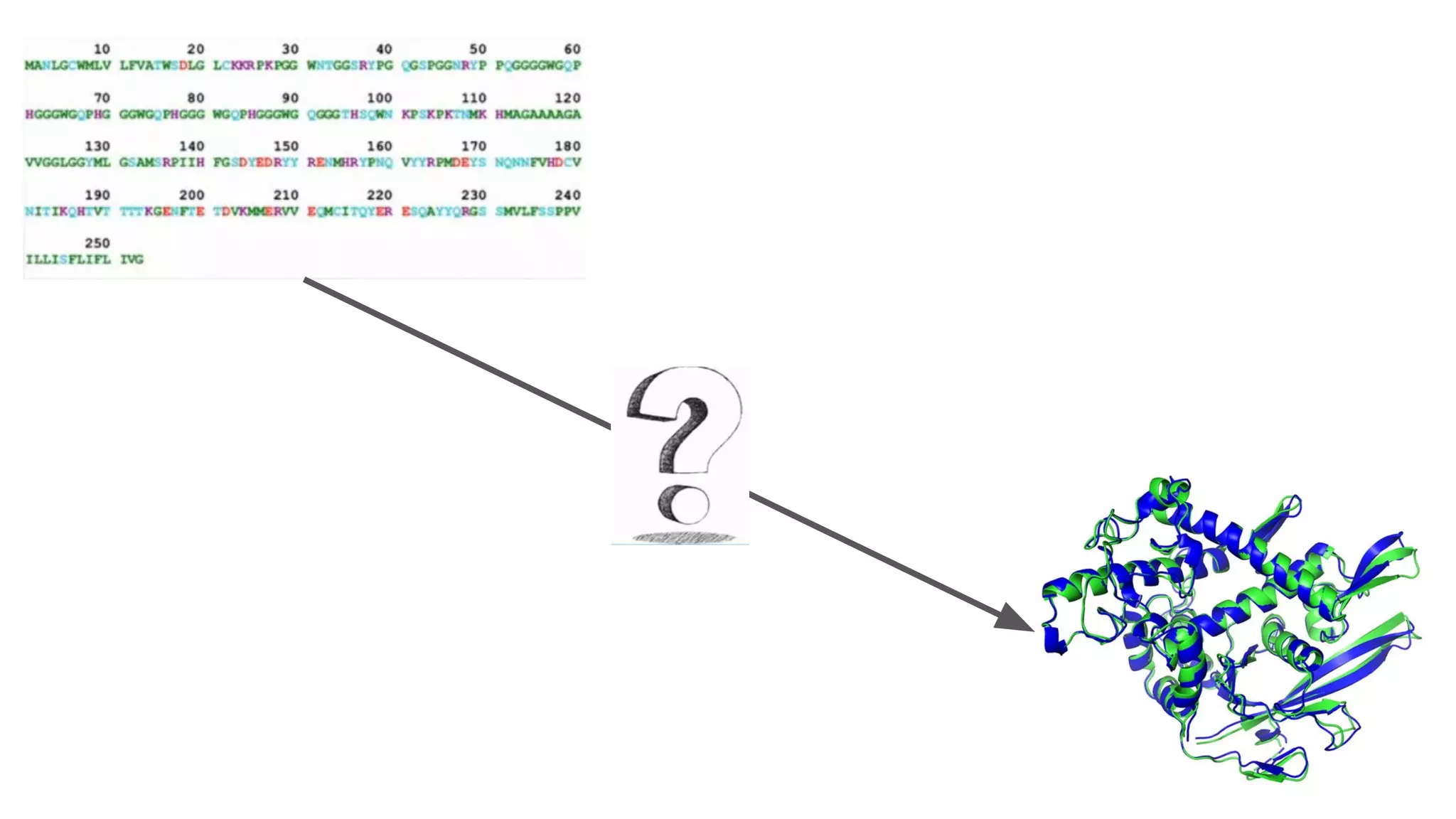 Protein Modeling Overview | PDF