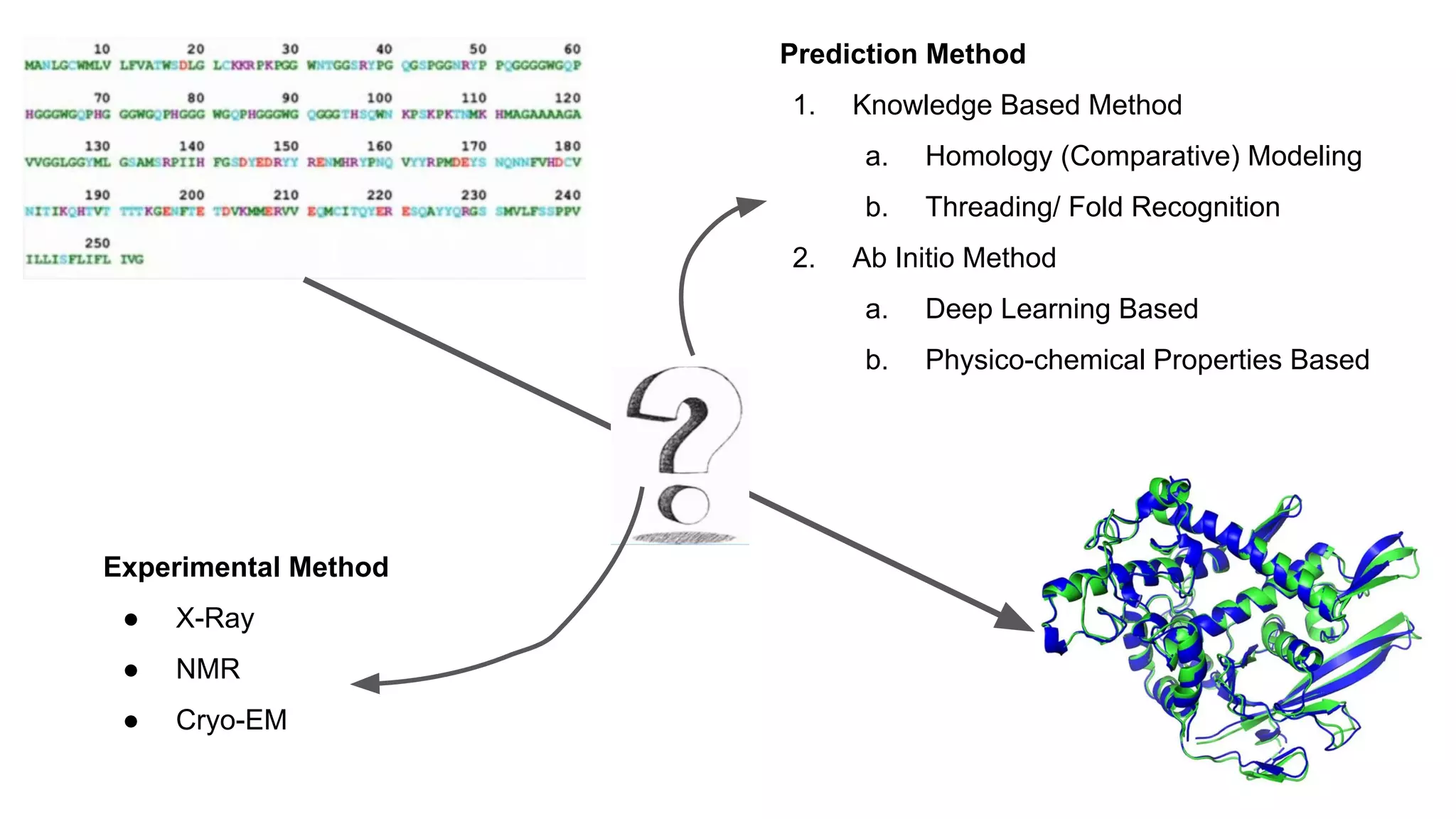 Protein Modeling Overview | PDF