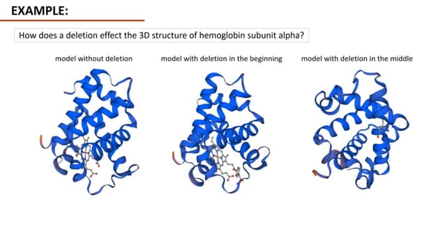 Protein Modeling Overview | PDF | Chemistry | Science