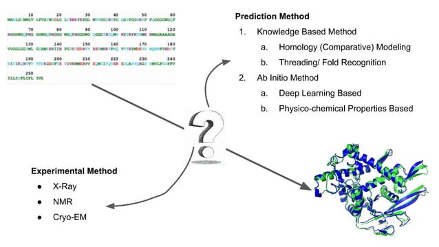 Protein Modeling Overview | PDF | Chemistry | Science