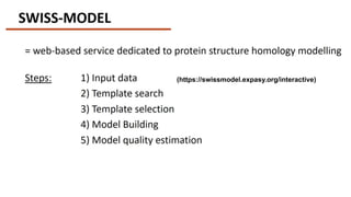 Protein Modeling Overview | PDF