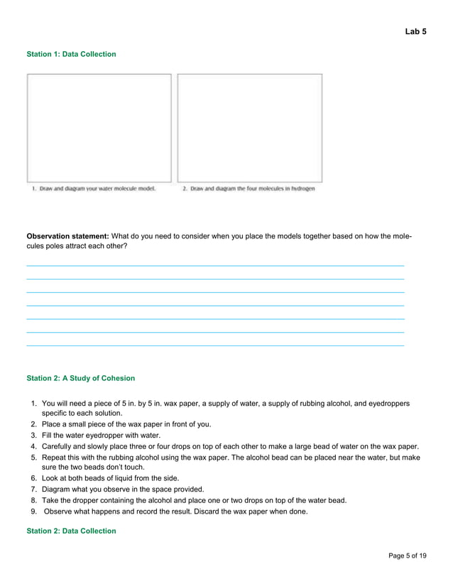 Lab 5 waters unique properties | PDF