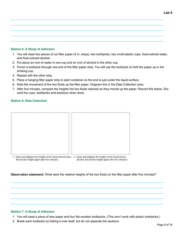 Lab 5 waters unique properties | PDF