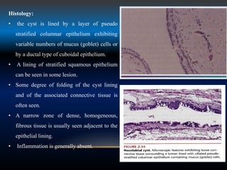 Lab 6 developmental cyst | PPT