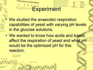 Lab6 | PPT