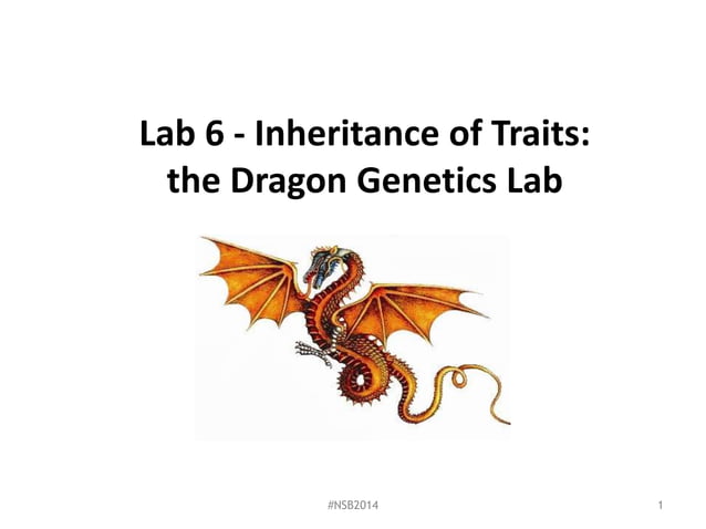 Lab 6 inheritance of traits fall 2014 | PPTX