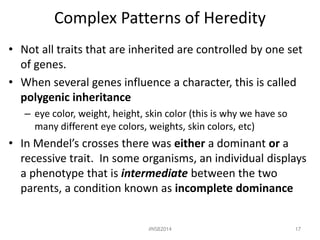 Lab 6 inheritance of traits fall 2014 | PPT