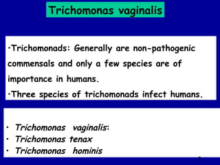 Lab 6 trichomoniniasis | PPT | Sexual Conditions | Sexual Health