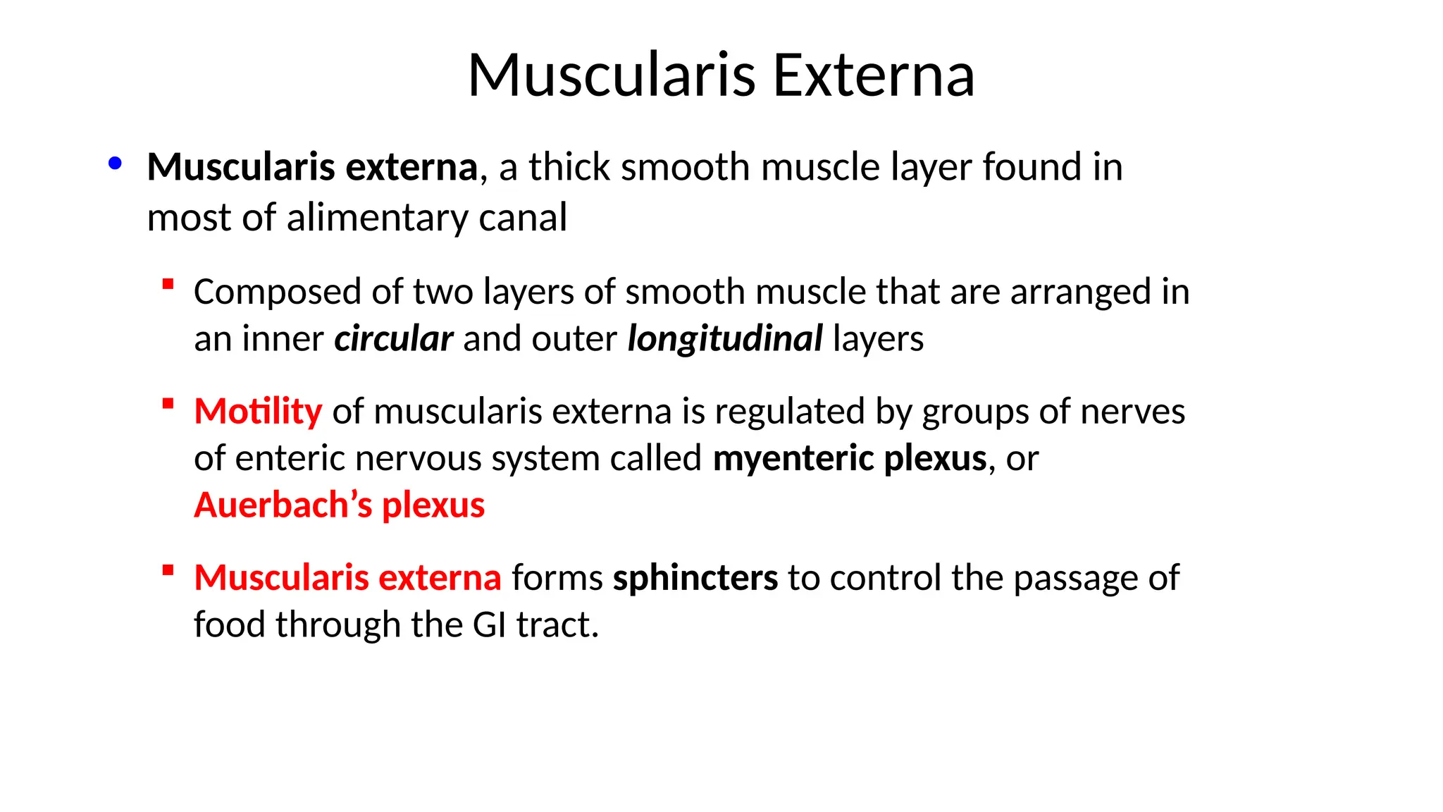 Digestive System Anatomy and physiology. | PPTX