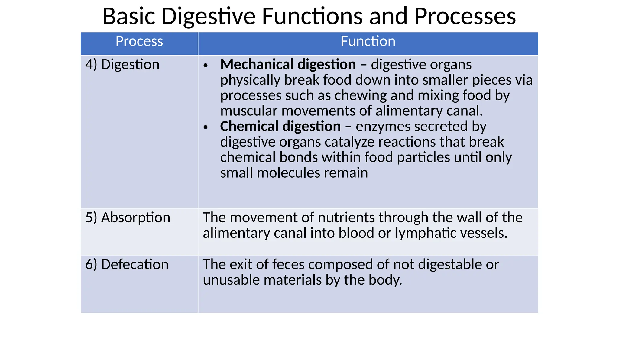 Digestive System Anatomy and physiology. | PPT