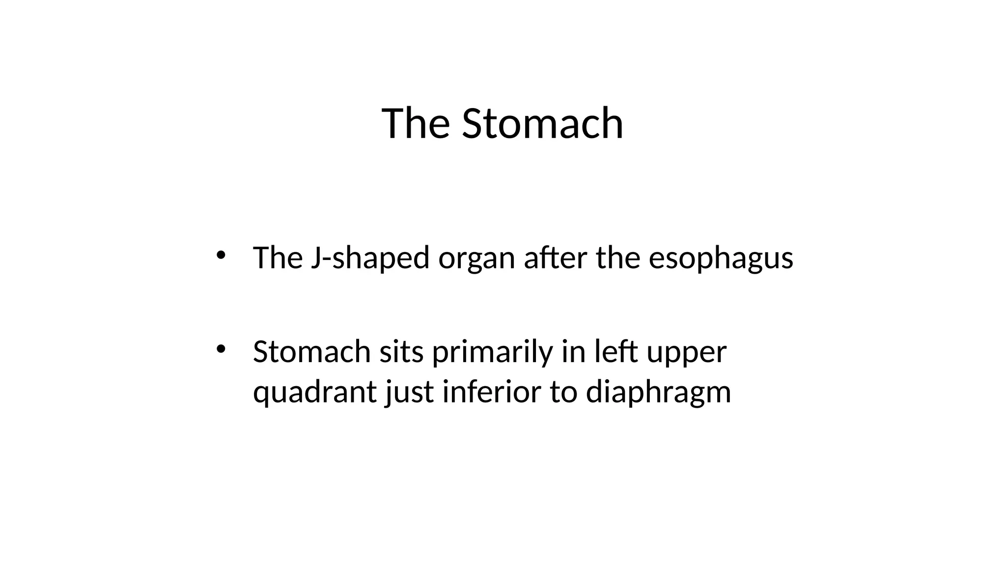 Digestive System Anatomy and physiology. | PPTX