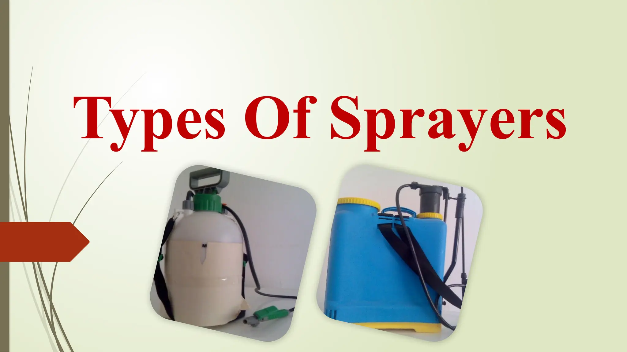 pathogens used in biological control.pptx