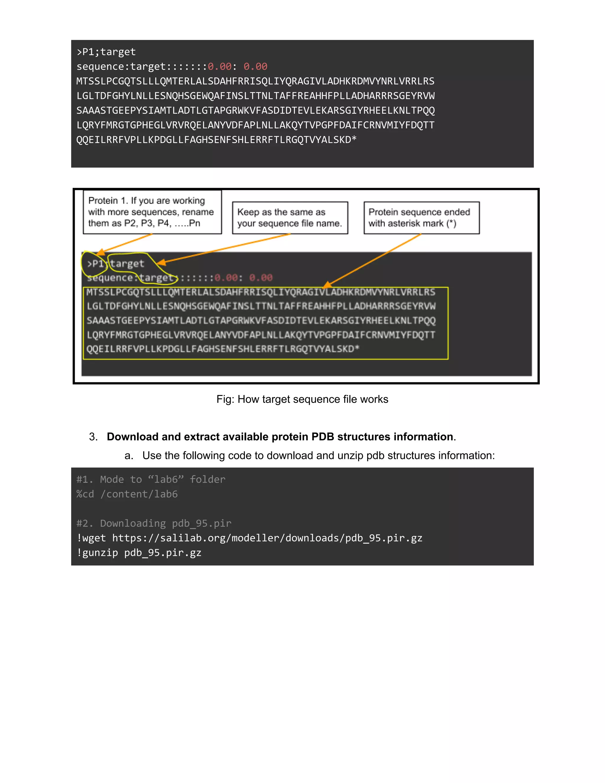 Protein Modeling using MODELLER | PDF
