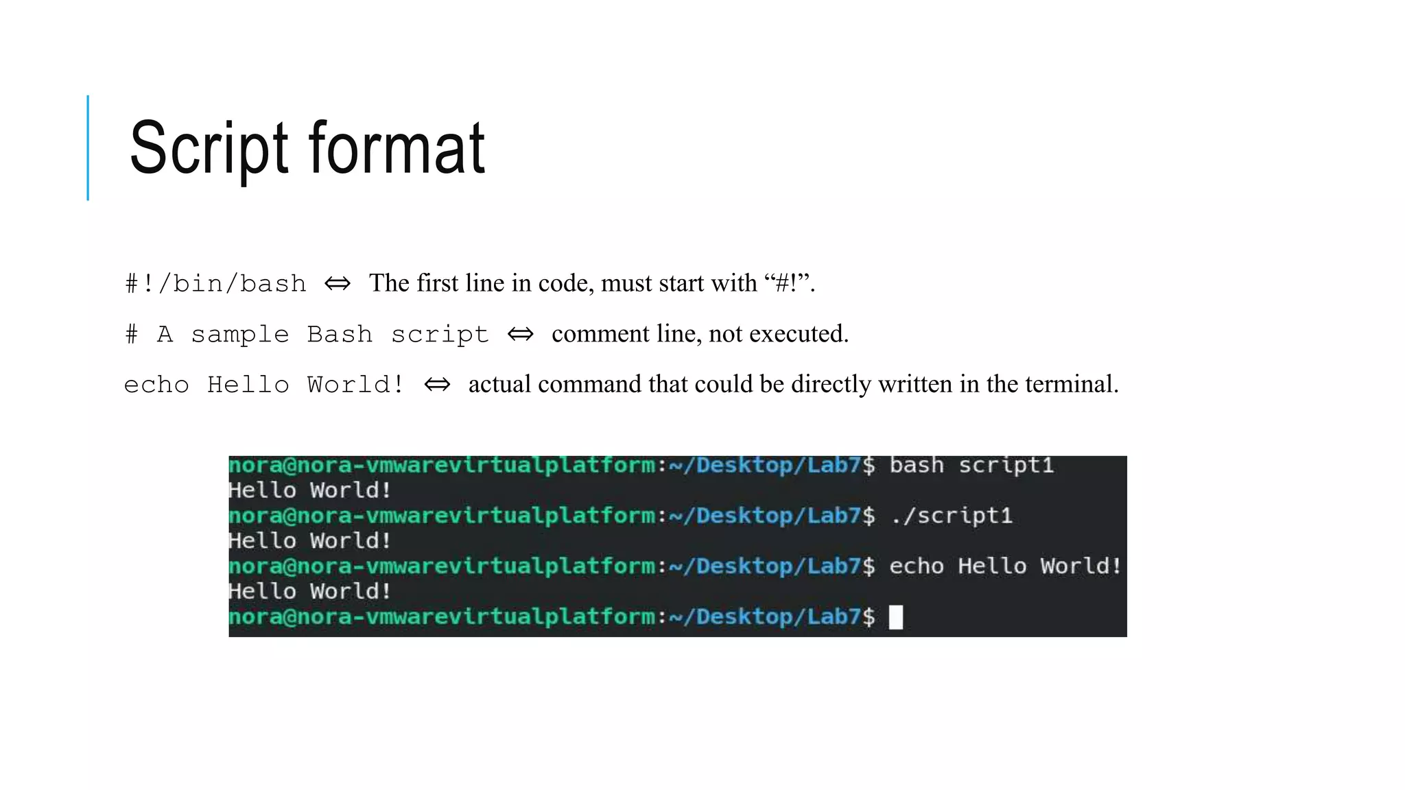 Lab 7 - Bash Script.pptx