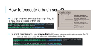 Lab 7 - Bash Script.pptx