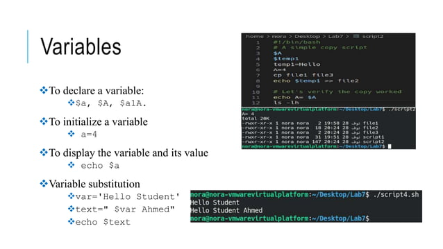 Lab 7 - Bash Script.pptx