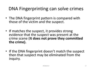 Lab 7 dna fingerprinting and gel electrophoresis fall 2014 | PPTX