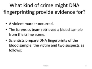 Lab 7 dna fingerprinting and gel electrophoresis fall 2014 | PPTX