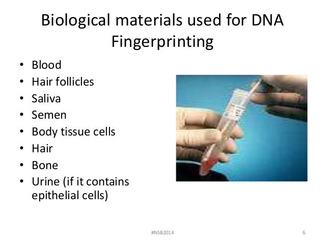 Lab 7 dna fingerprinting and gel electrophoresis fall 2014