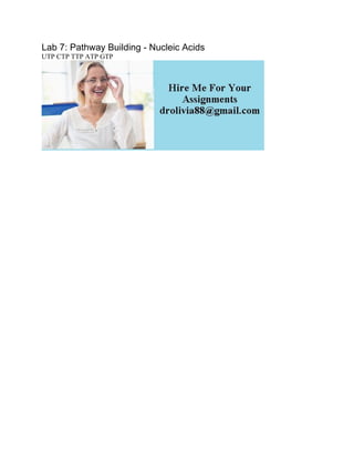Lab 7- Pathway Building - Nucleic Acids UTP CTP TTP ATP GTP.pdf