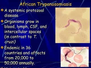 Lab 7 trypanosomiasis | PPT