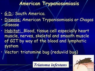 Lab 7 trypanosomiasis | PPT