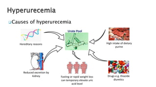 Lab 7 Lec_ Uric acid.pdf