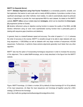 MULTIPLE SEQUENCE ALIGNMENT | PDF