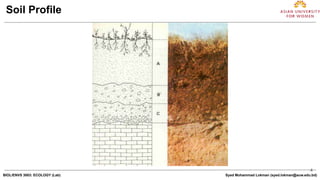 Soil Analysis | PDF