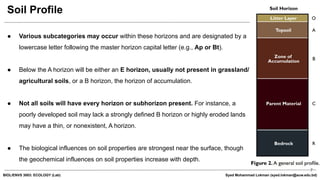Soil Analysis | PDF