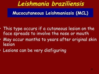 Lab 8 leishmaniasis | PPT