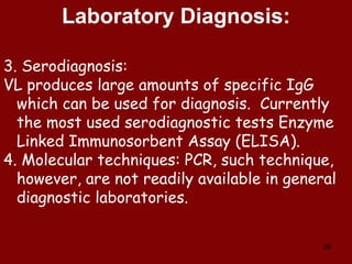 Lab 8 leishmaniasis | PPT