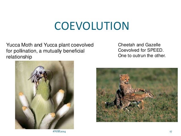 Lab 8 natural selection fall 2014