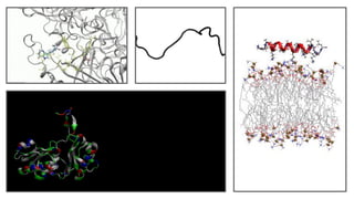 MD Preparation: Charmm-GUI | PDF