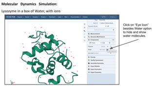 MD Preparation: Charmm-GUI | PDF