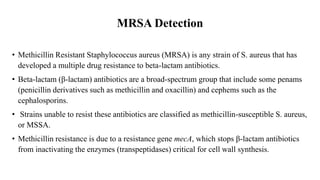 MRSA Detection | PPTX