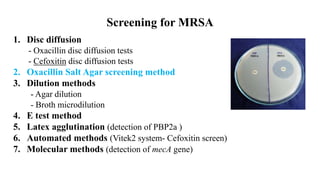 MRSA Detection | PPT