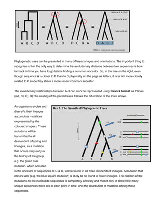 Phylogenetics | PDF