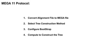 Phylogenetic Tree Construction | PDF