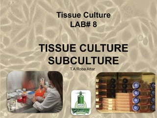 Lab 8 handbook and animal cell culture.pptx
